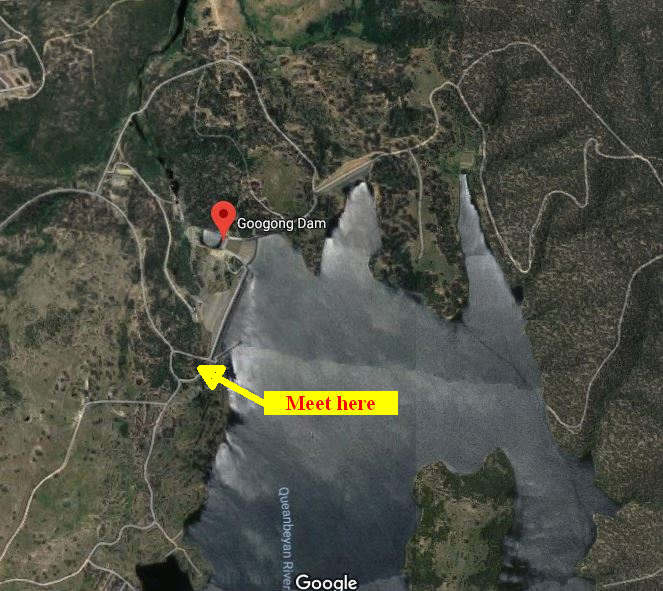 Wednesday Walk to Googong - Canberra Birds